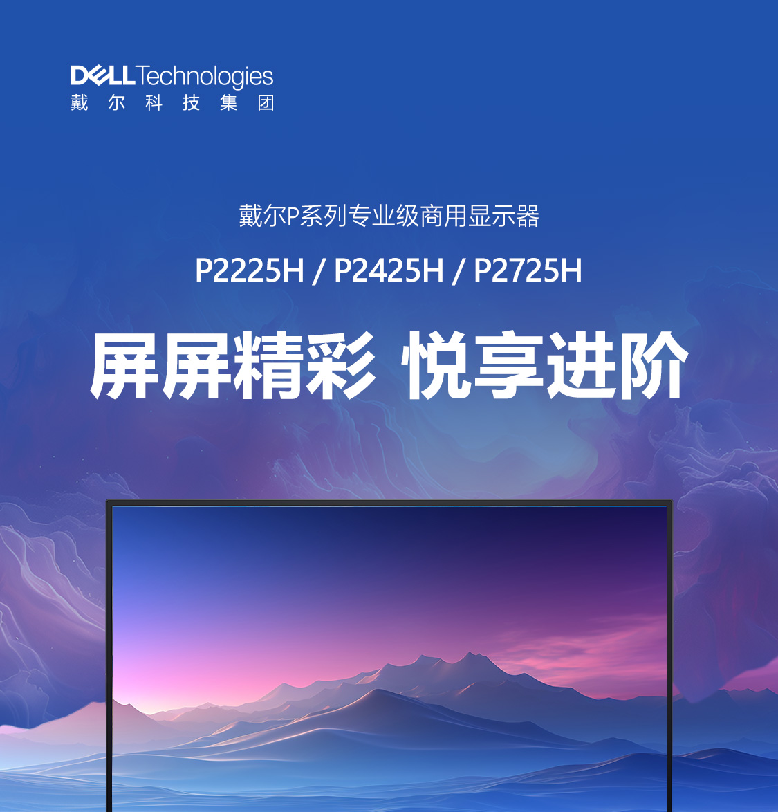 戴尔Dell Pro 24 Plus 显示器 - P2425H报价、参数、图片、配置-显示器及外设设备-戴尔(Dell)企业采购网