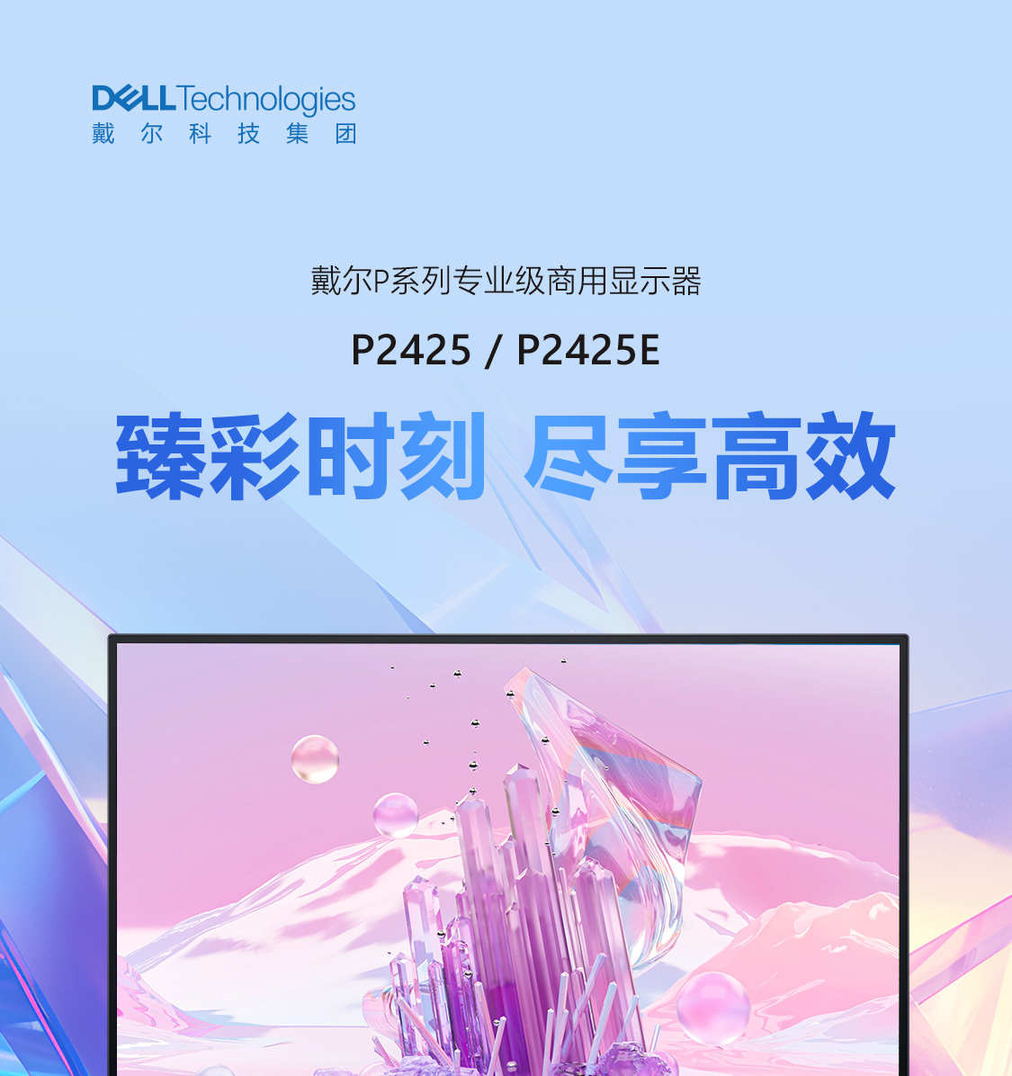 戴尔Dell Pro 24 Plus 16:10 显示器 - P2425报价、参数、图片、配置-显示器及外设设备-戴尔(Dell)企业采购网